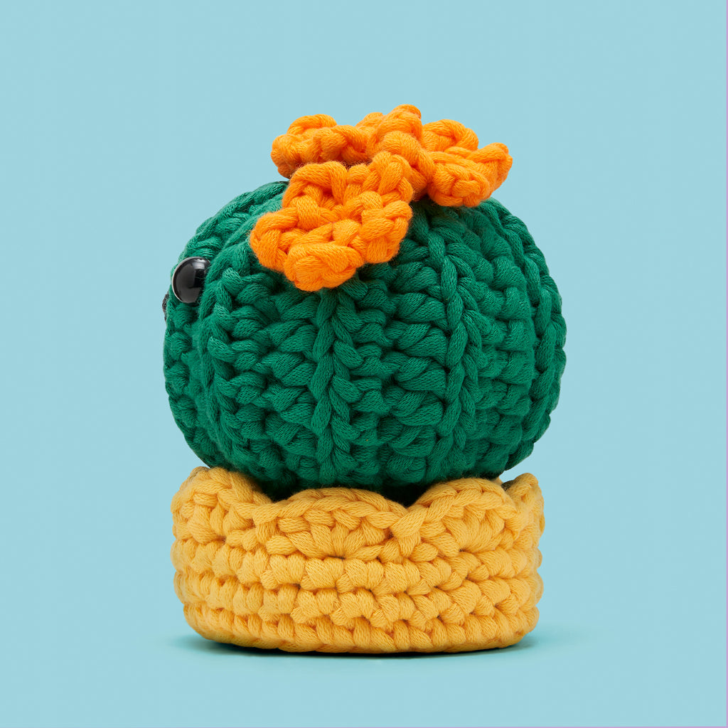 Barrel Cactus Crochet Kit | The Woobles